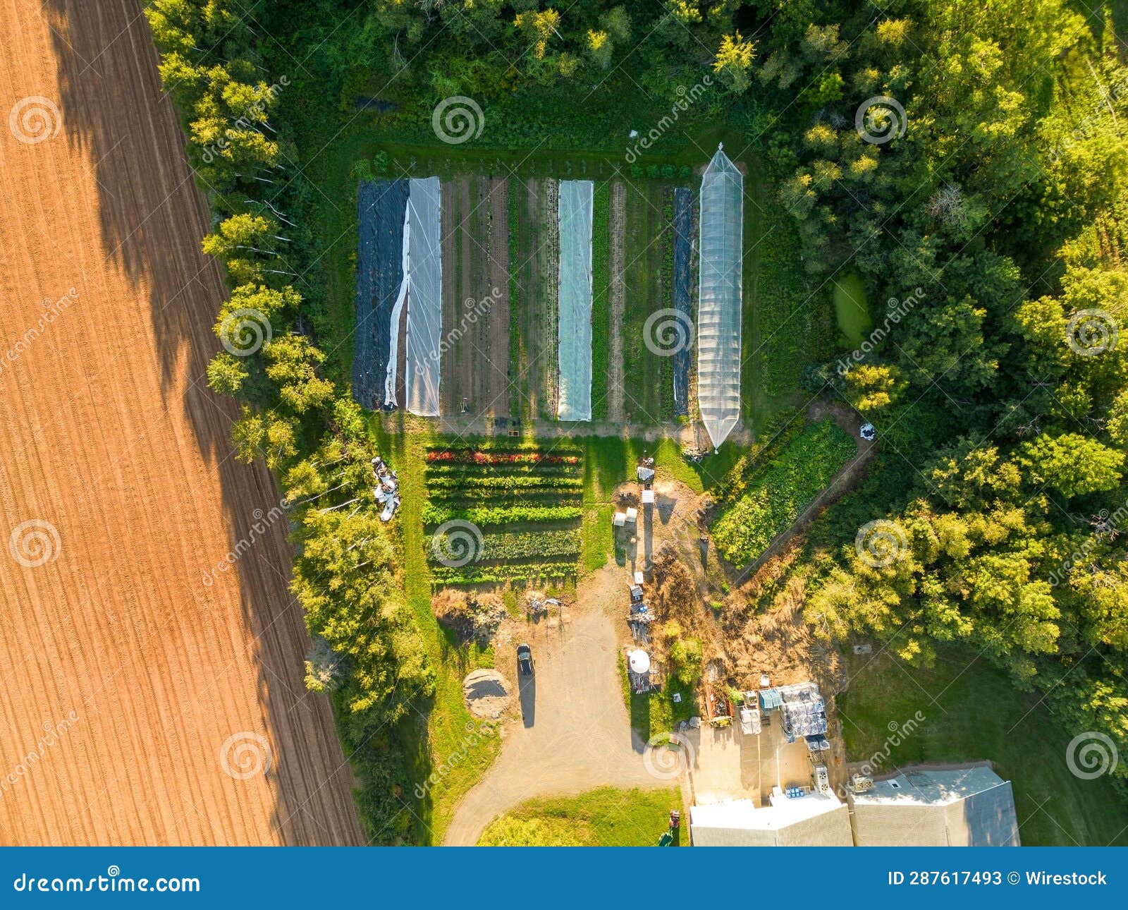 Aerial View of a Small Plot of Crops on a Fruit and Vegetable Farm in ...