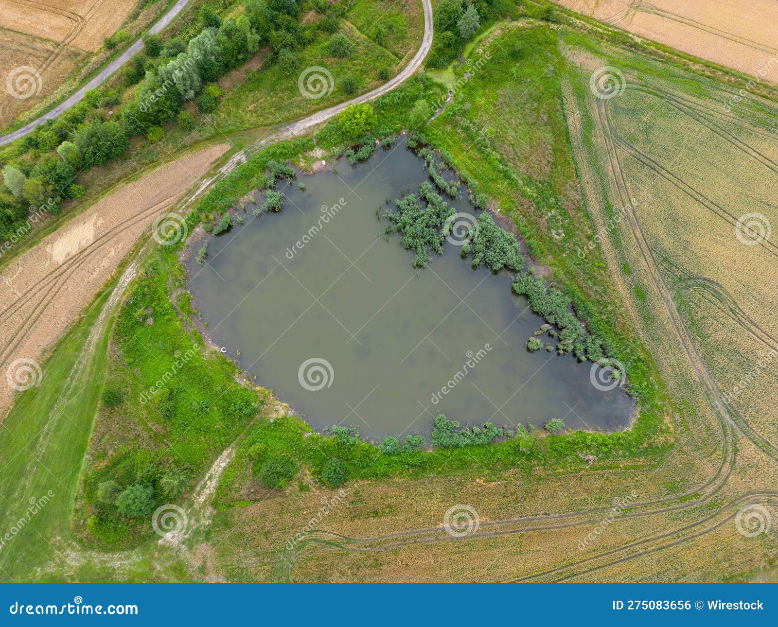 Aerial View of a Small Pond among Fields and Meadows Stock Photo ...