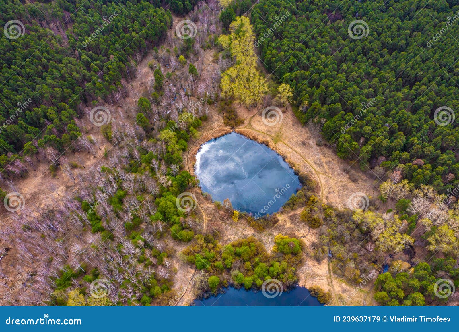 Aerial View of the Small Pond in the Middle of Forest. a Small on Shore ...