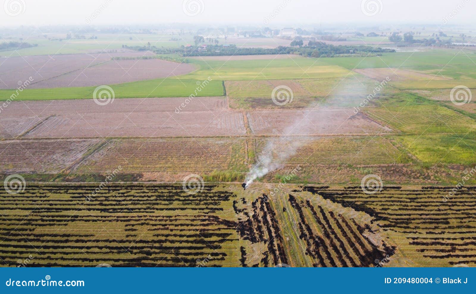 Aerial View of the Smoke from Burning Rice Fields, Air Pollution, Dust ...