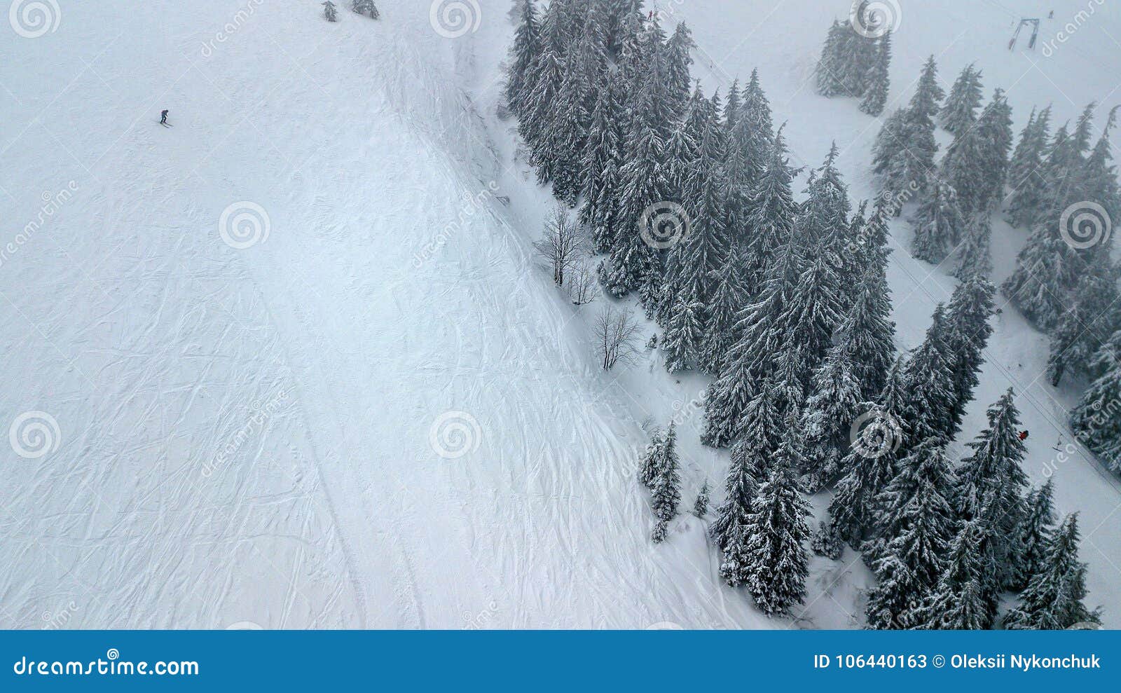 Aerial View of the Snow-covered Christmas Tree in Mountains Stock Image ...