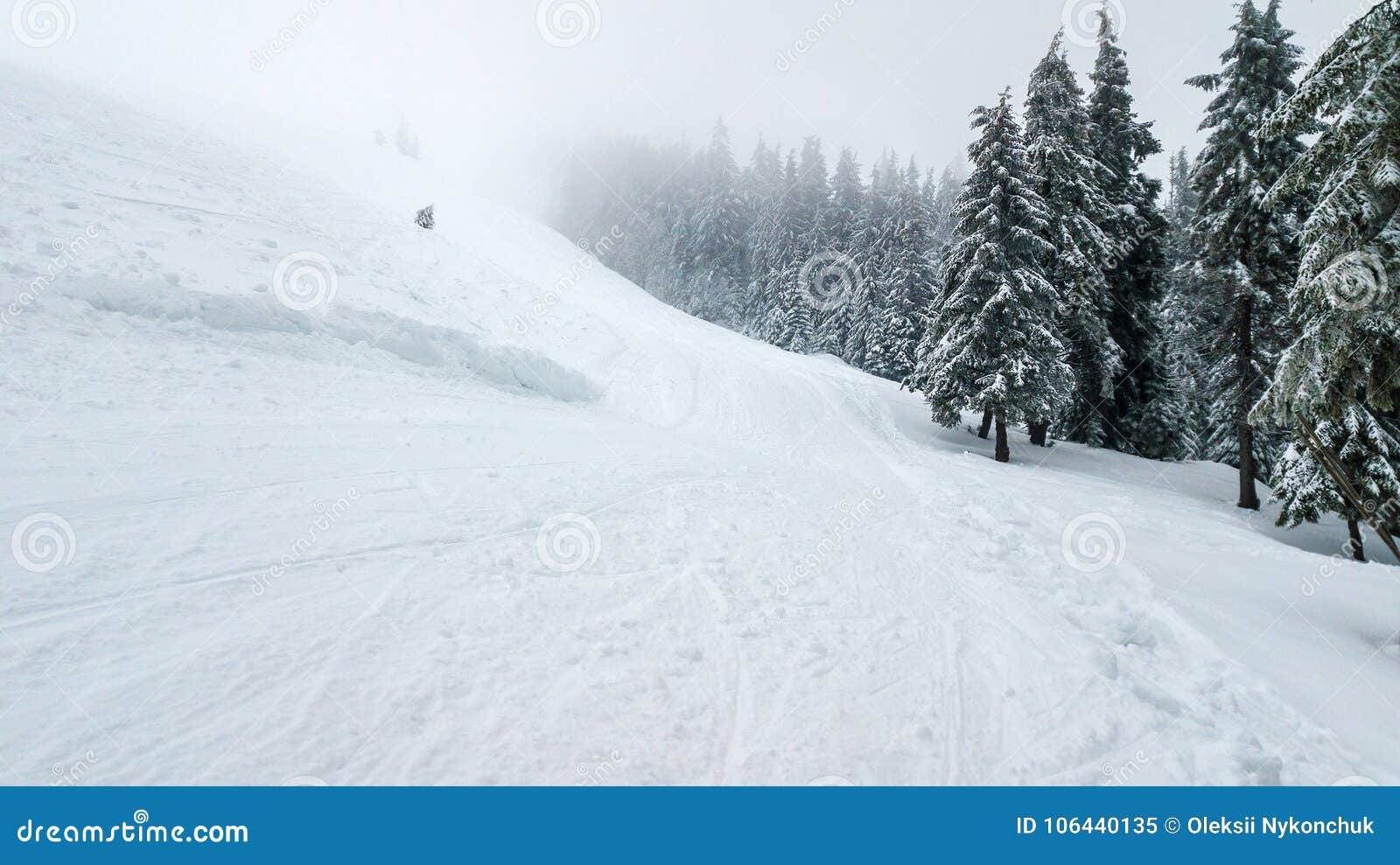 Aerial View of the Snow-covered Christmas Tree in Mountains with Road ...