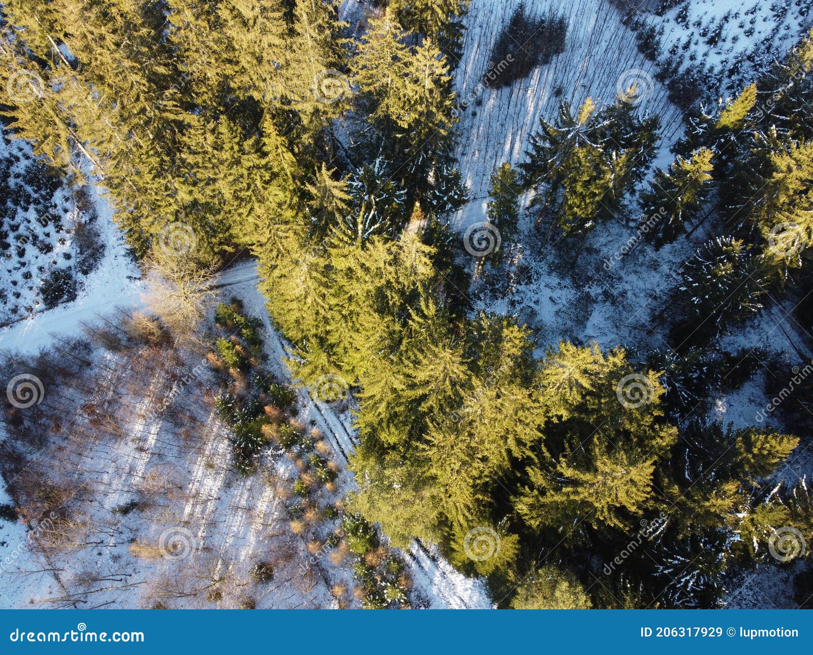 Aerial View of a Snowy Conifer Forest. Top Down View of a Snowy Forest ...
