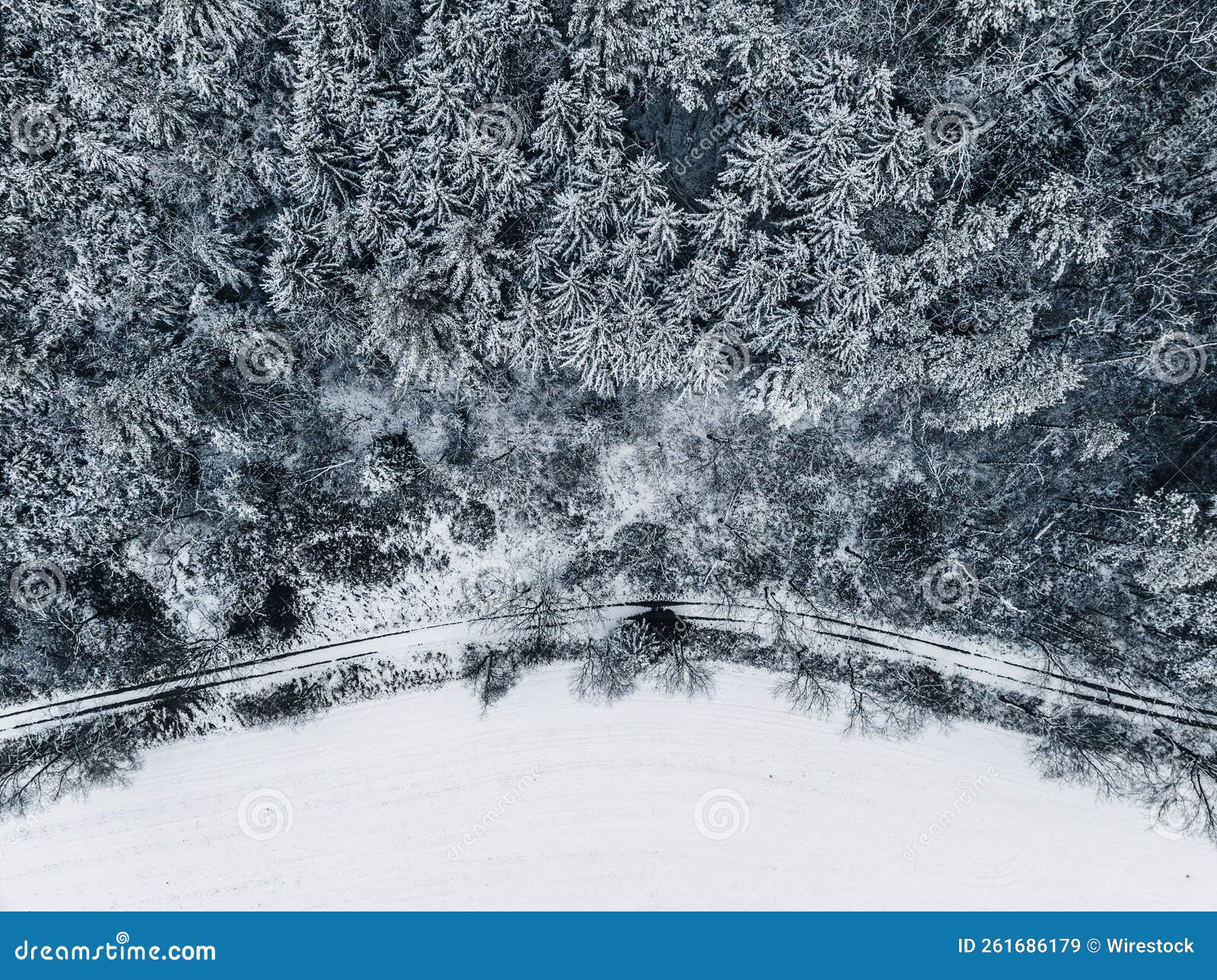 Aerial View of a Snowy Forest and Highway Stock Image - Image of trees ...