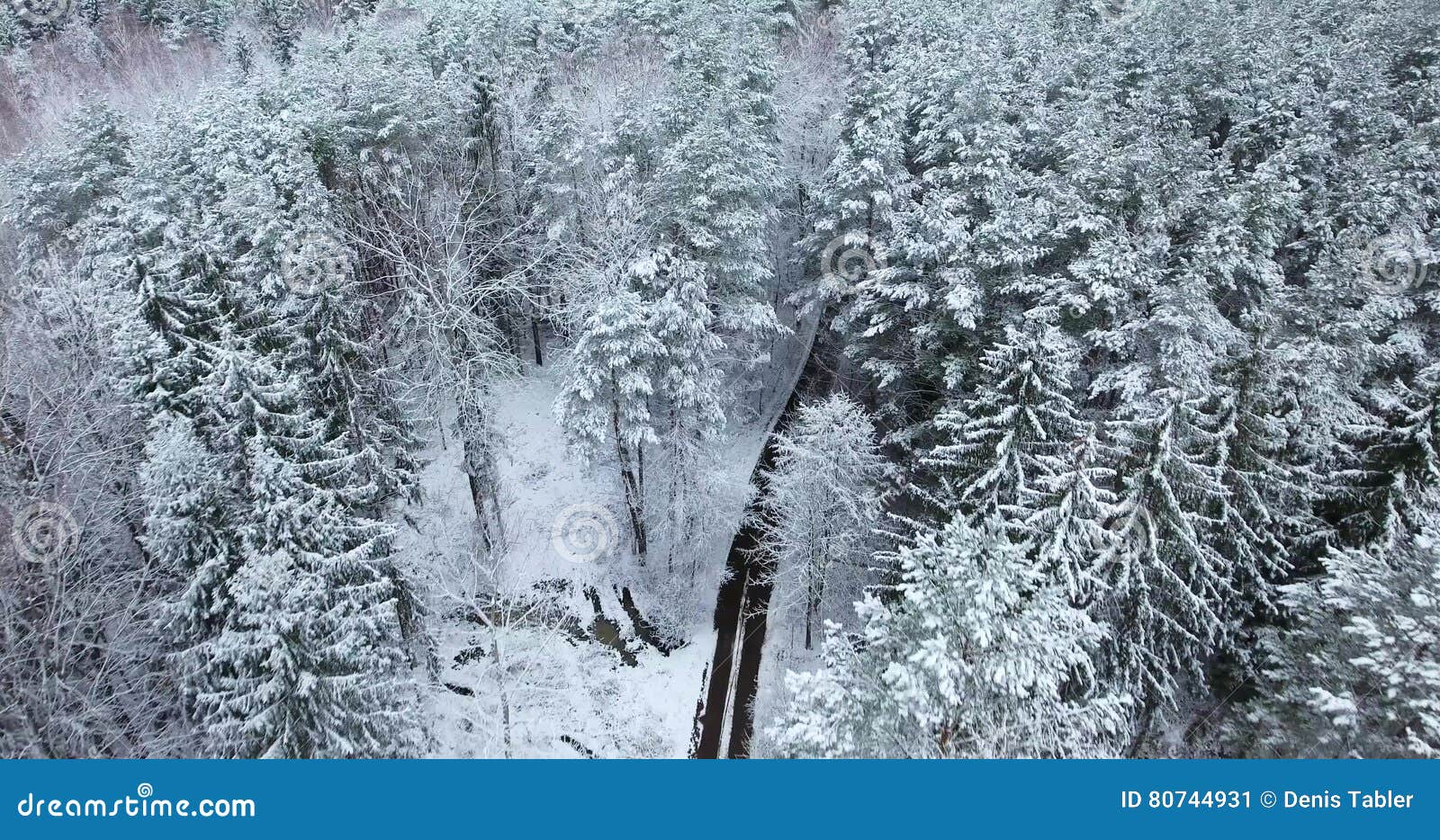 Aerial View of Snowy Forest at Winter Stock Video - Video of gambling ...