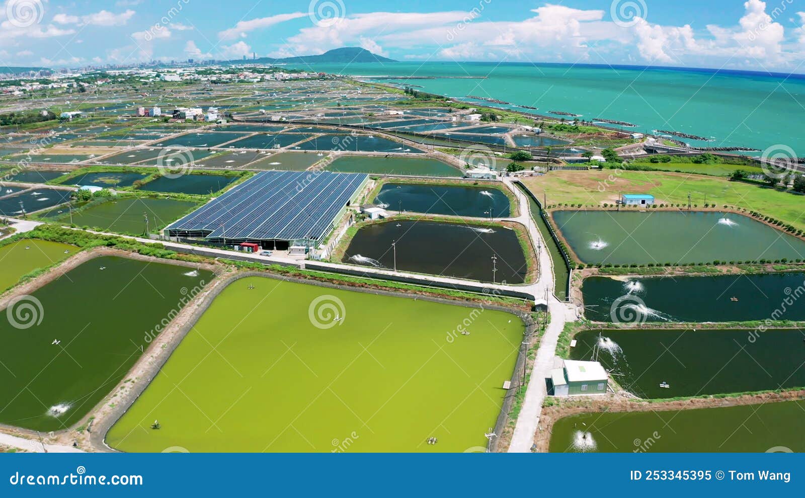Aerial View of Solar Panel Farm on Fish Pond for Electricity Generation ...