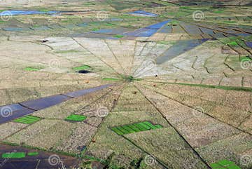 Aerial View Spiders Web Shaped Rice Fields Stock Image - Image of field ...