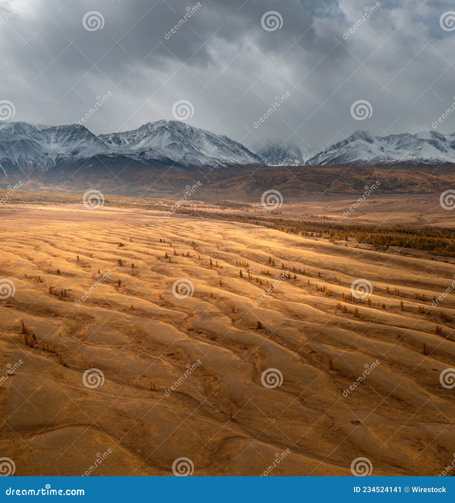 Aerial View of Steppe Landscapes and Fields Stock Image - Image of ...