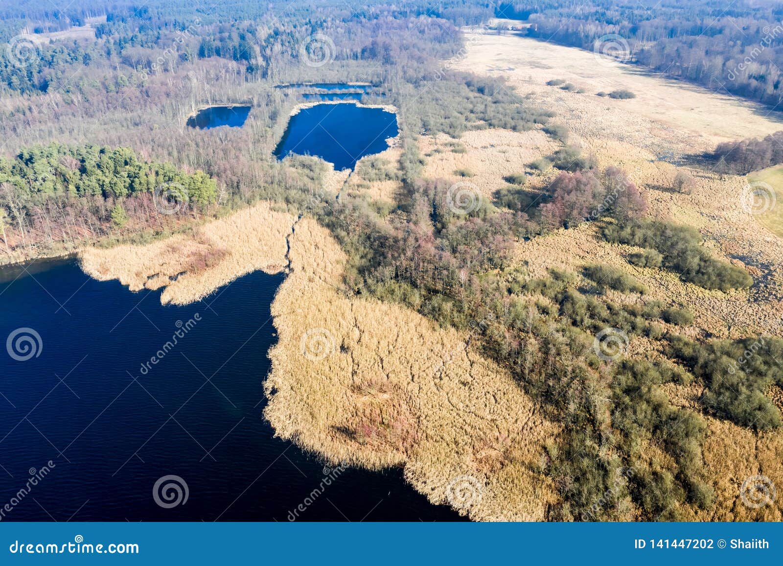 Aerial View of Stunning Lake and Forest, Poland Stock Photo - Image of ...