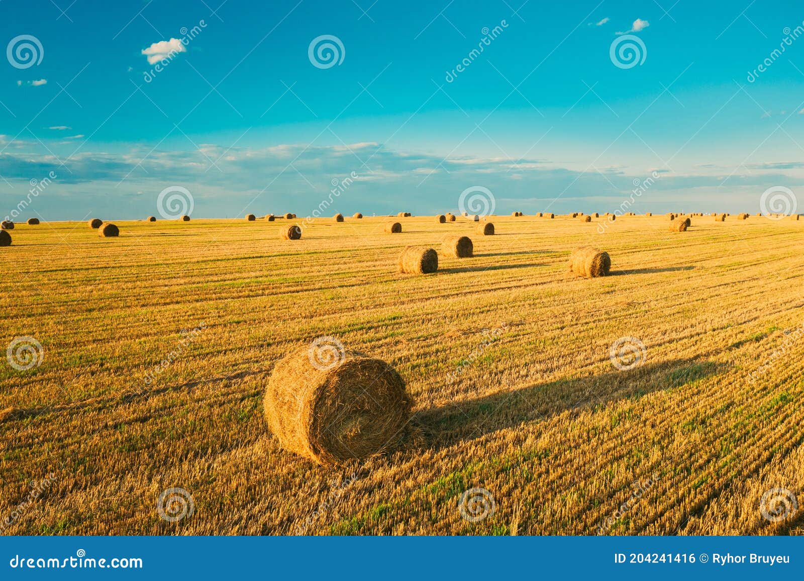 Aerial View of Summer Hay Rolls Straw Field Landscape in Evening ...