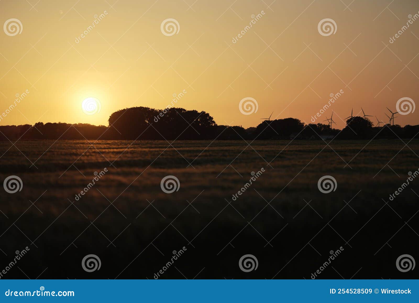 Aerial View of Sunset Over Grainfield Stock Image - Image of plant ...