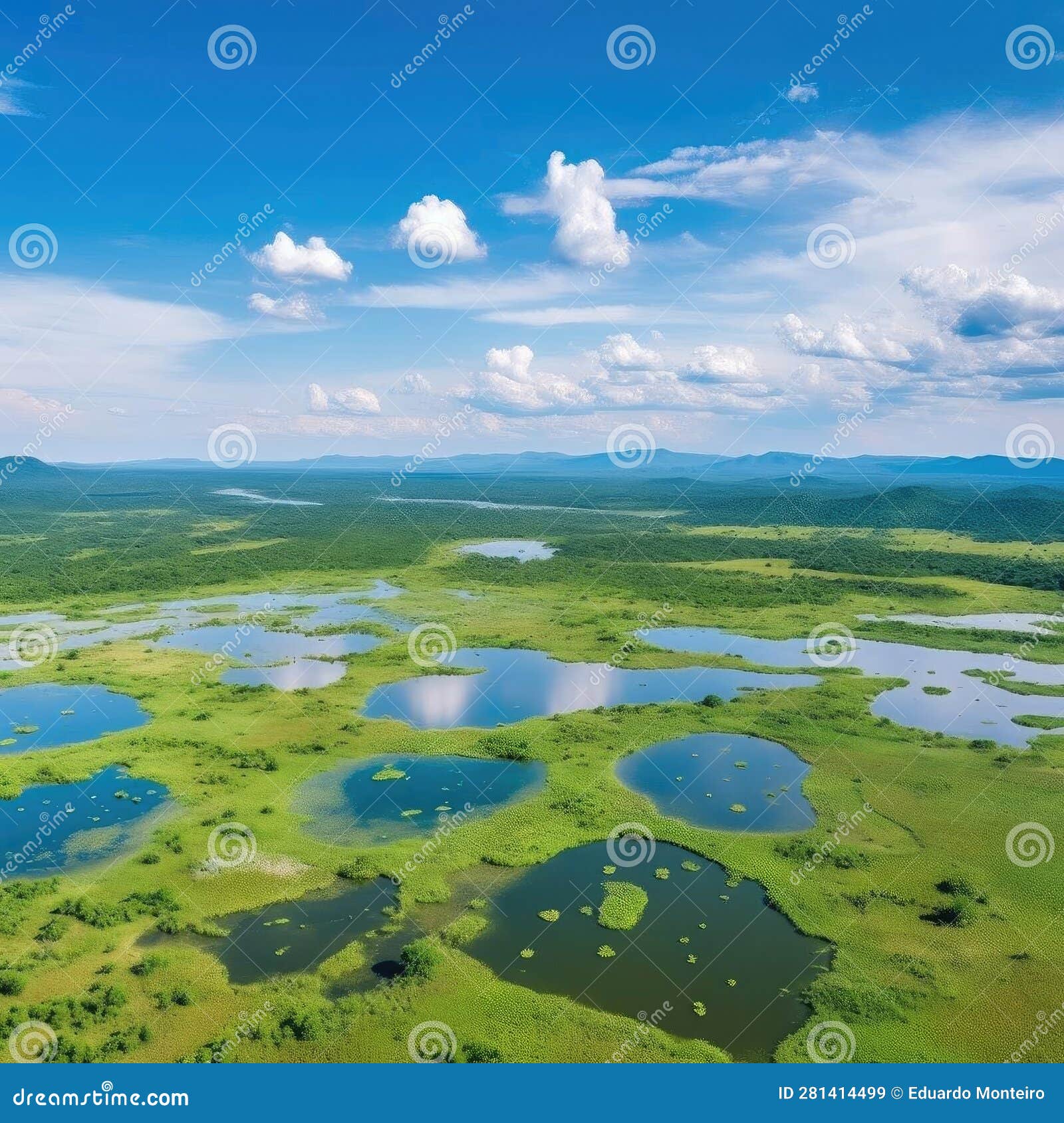 Aerial View of a Swamp with Blue Sky Stock Illustration - Illustration ...