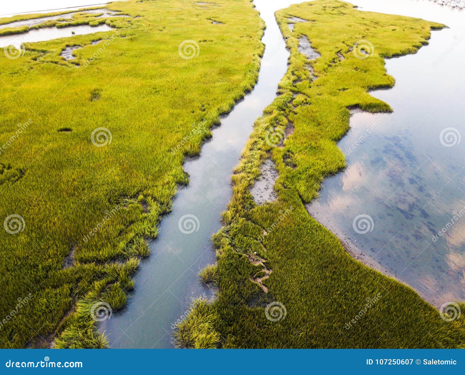 Aerial View of a Swamp at Sunrise Stock Image - Image of lagoon ...
