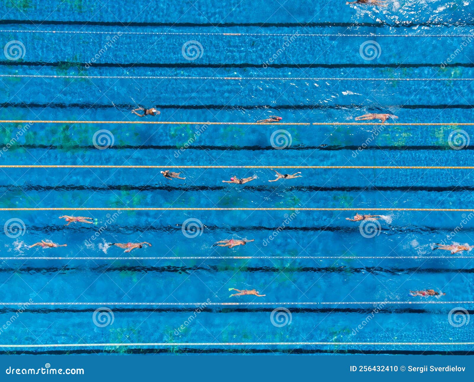 Aerial View of Swimmers in a Open Swimming Pool Stock Photo - Image of ...