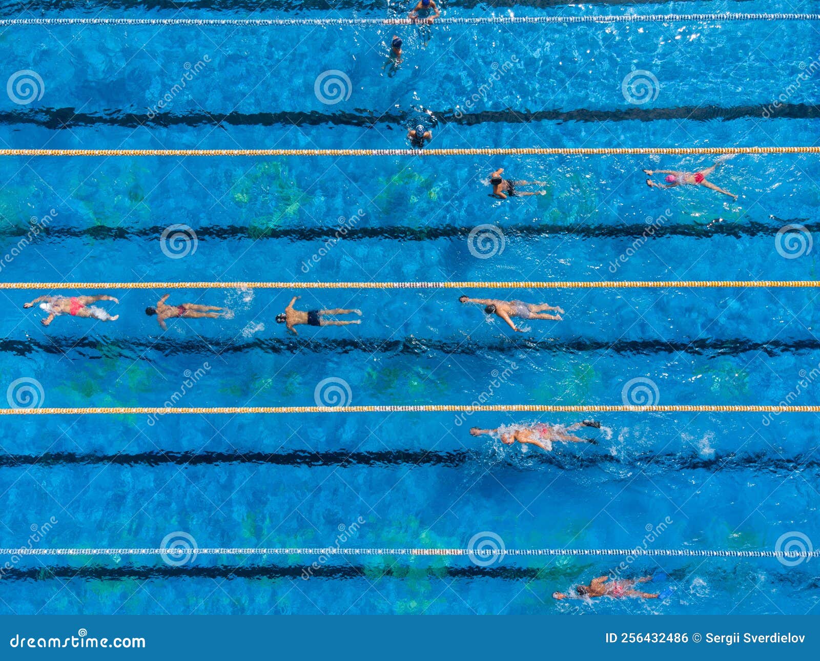 Aerial View of Swimmers in a Open Swimming Pool Stock Photo - Image of ...