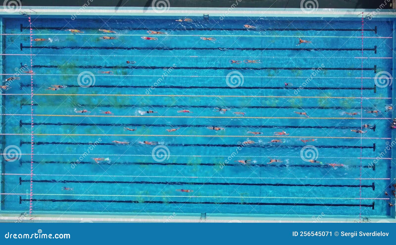 Aerial View of Swimmers in a Open Swimming Pool Stock Video - Video of ...