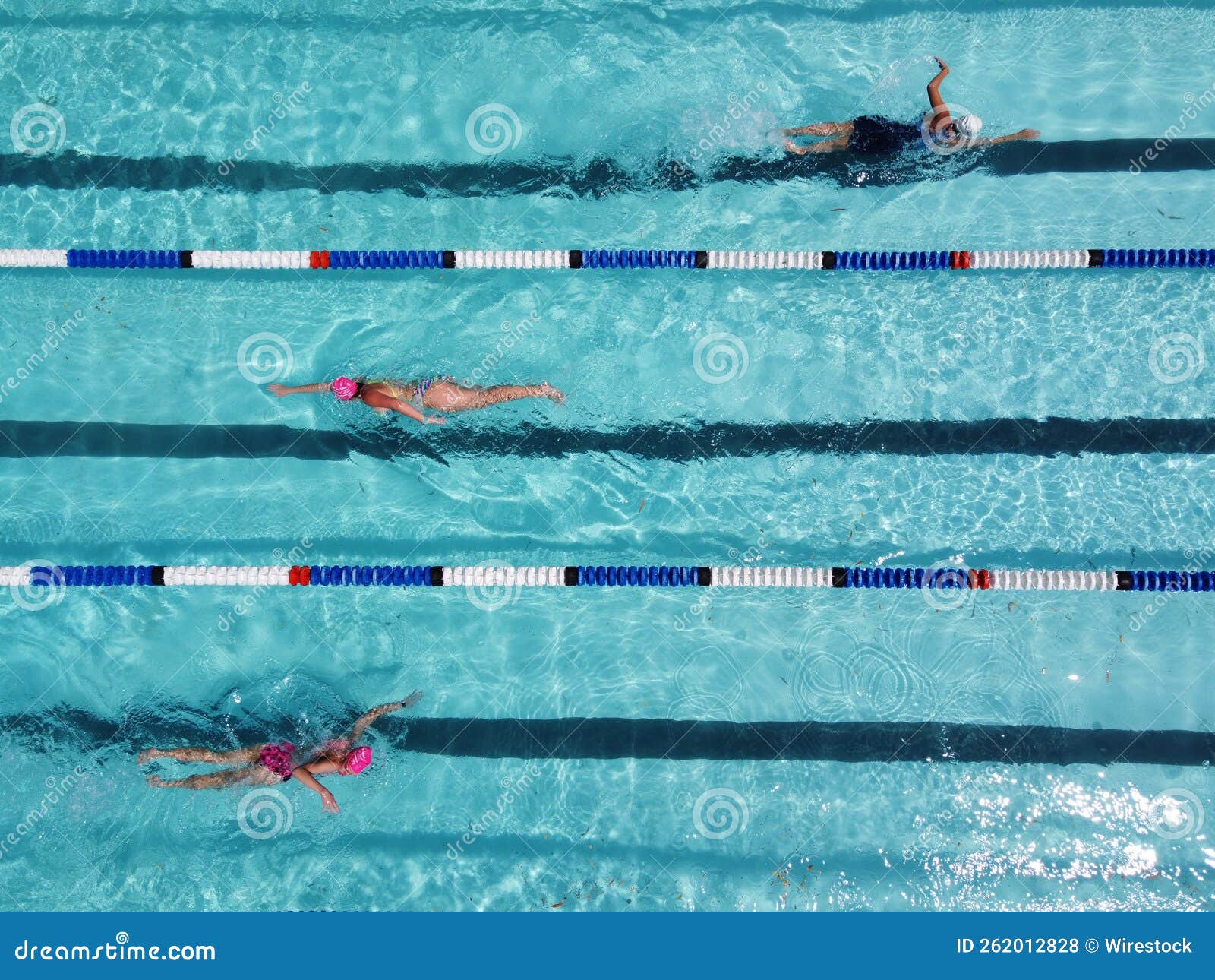 Aerial View of Swimmers Practicing in a Pool Stock Photo - Image of ...