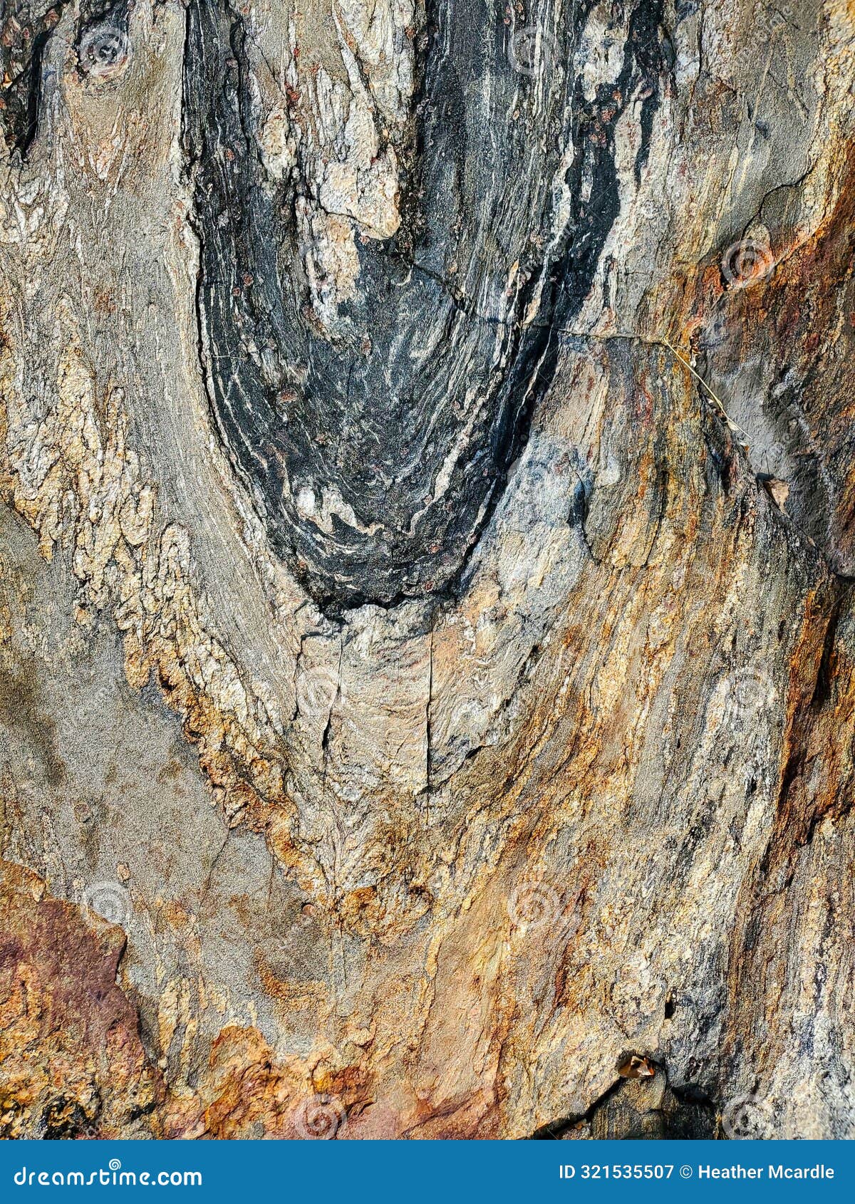 Abstract Rock Pattern with Swirls and Curves Stock Image - Image of ...