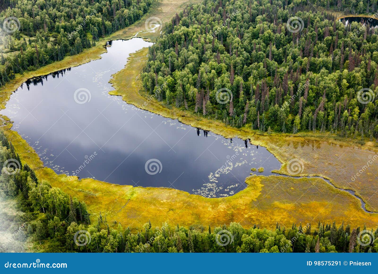 Aerial View of Taiga Forest and Lake Stock Image - Image of forest ...