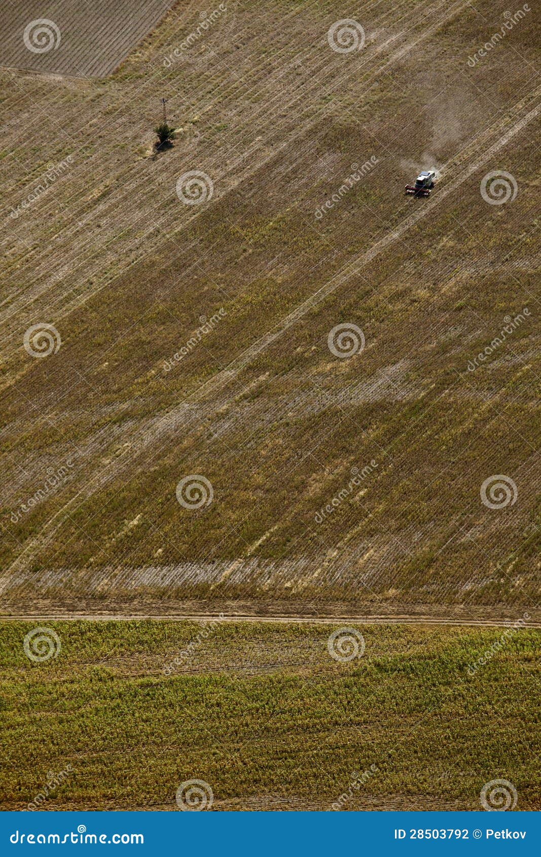 Top View Of Tractor Planting Corn Seed In Field Royalty-Free Stock ...