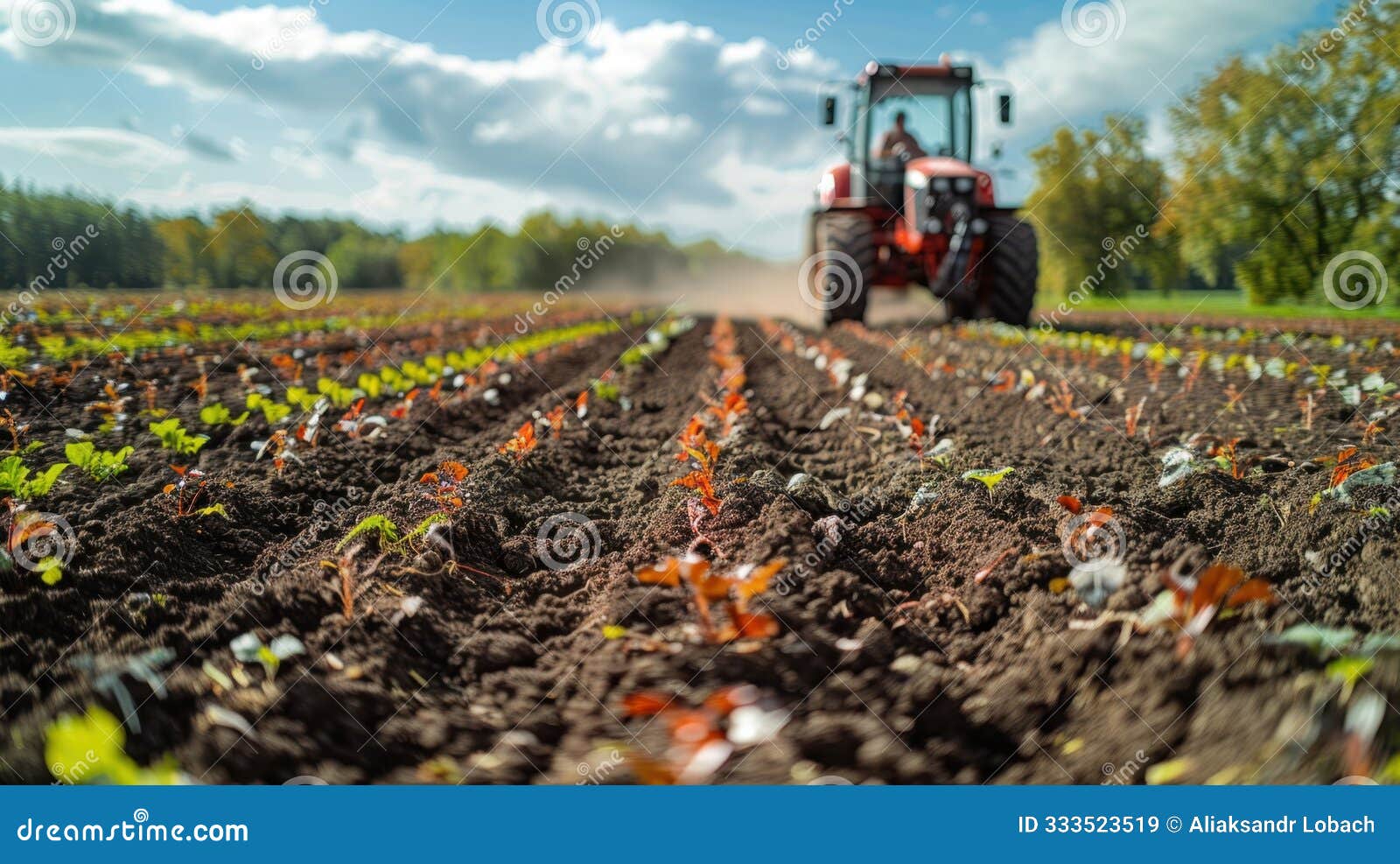 An Aerial View of a Tractor Tilling a Field in the Spring. Spring Field ...