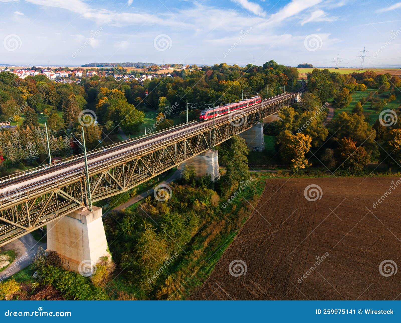 Aerial View of Train in Motion on Bridge Surrounded by Dense Trees ...