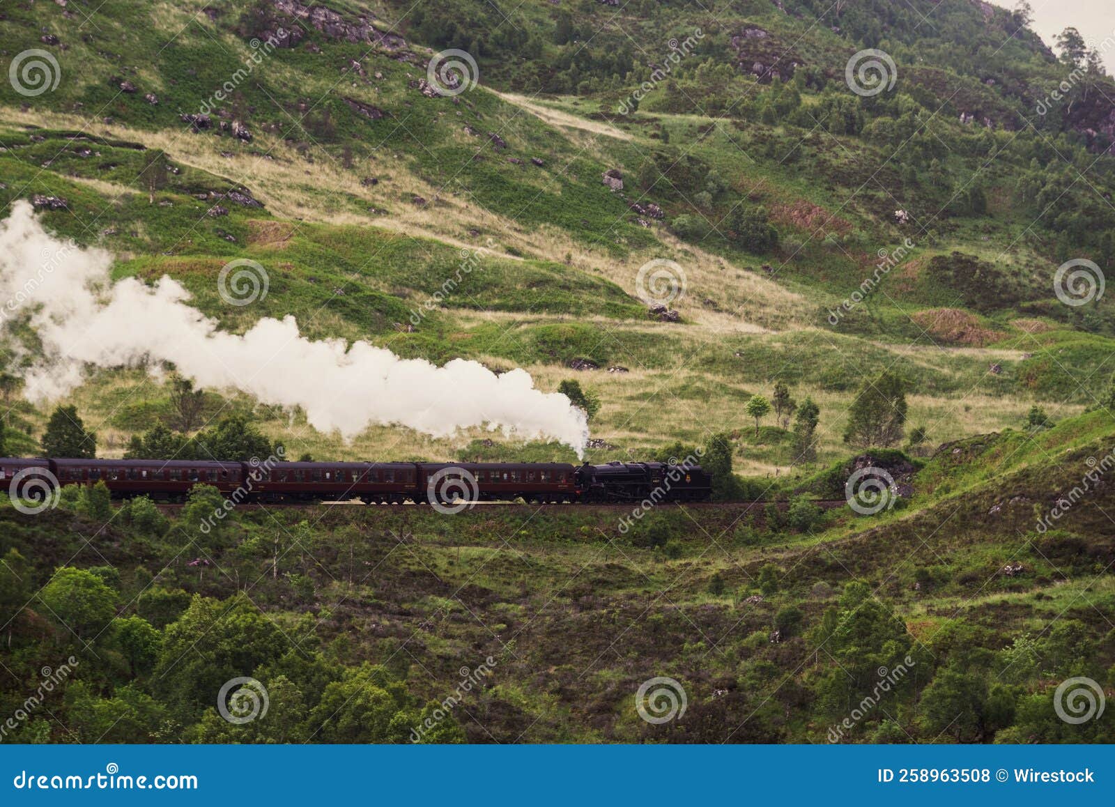 Aerial View of a Train in Nature Stock Photo - Image of landscape ...