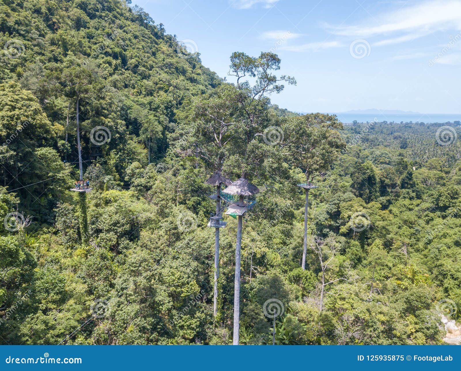 Aerial View of Tree Houses with Zip Lines Stock Image - Image of scenic ...