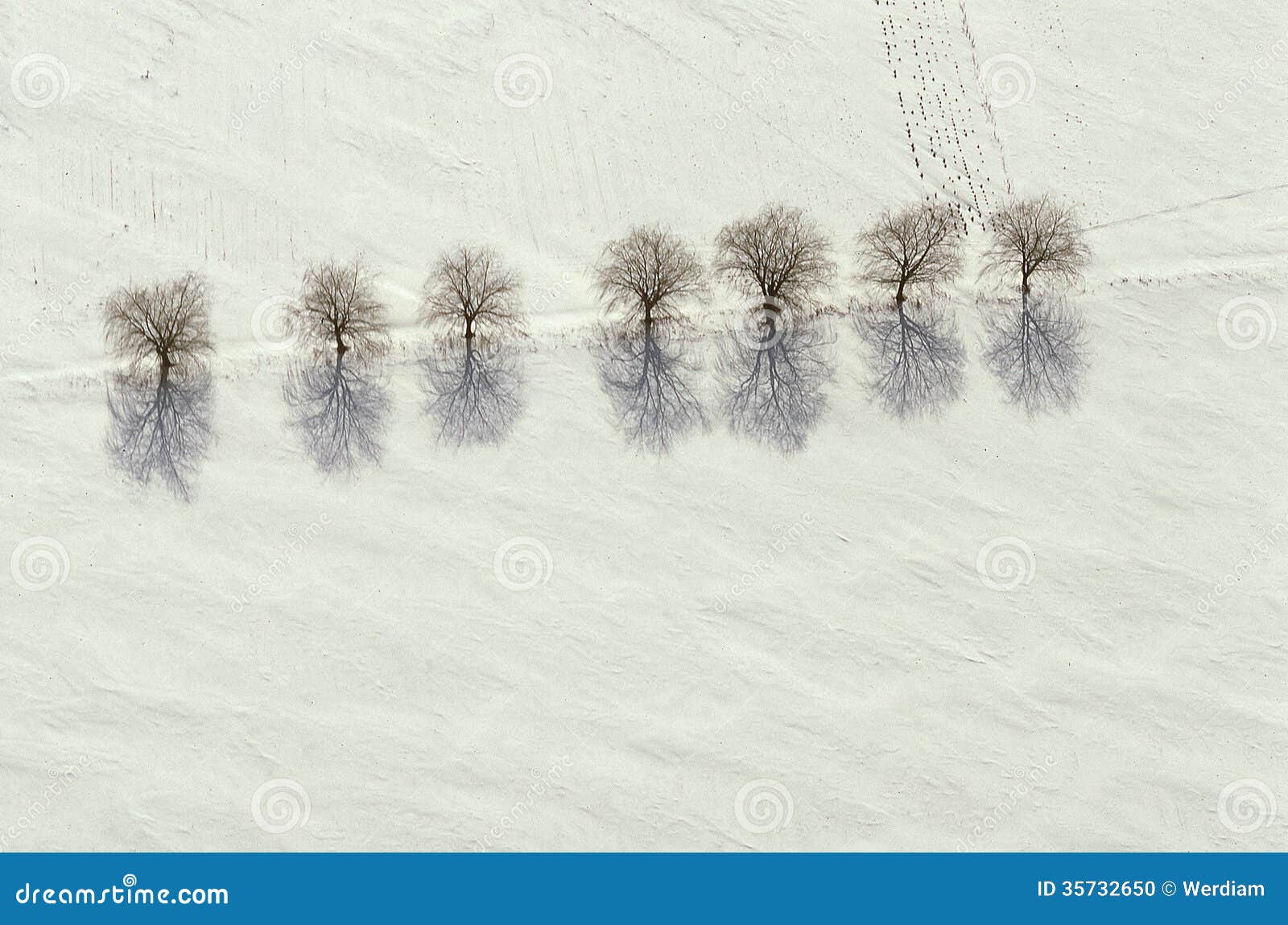 Aerial View of Trees and Shadows on Snow Stock Photo - Image of shot ...