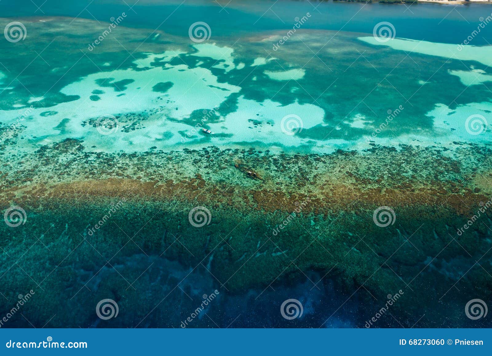 Aerial View of Tropical Coral Reef Ecosystem Stock Photo - Image of ...