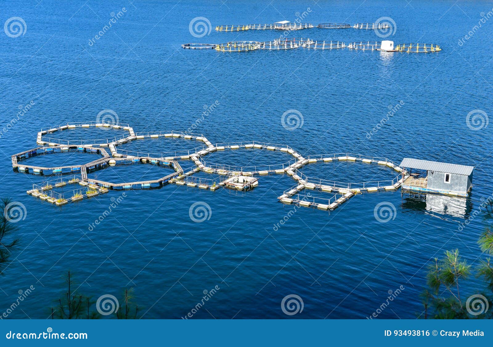 Aerial view of trout farm stock photo. Image of dock - 93493816