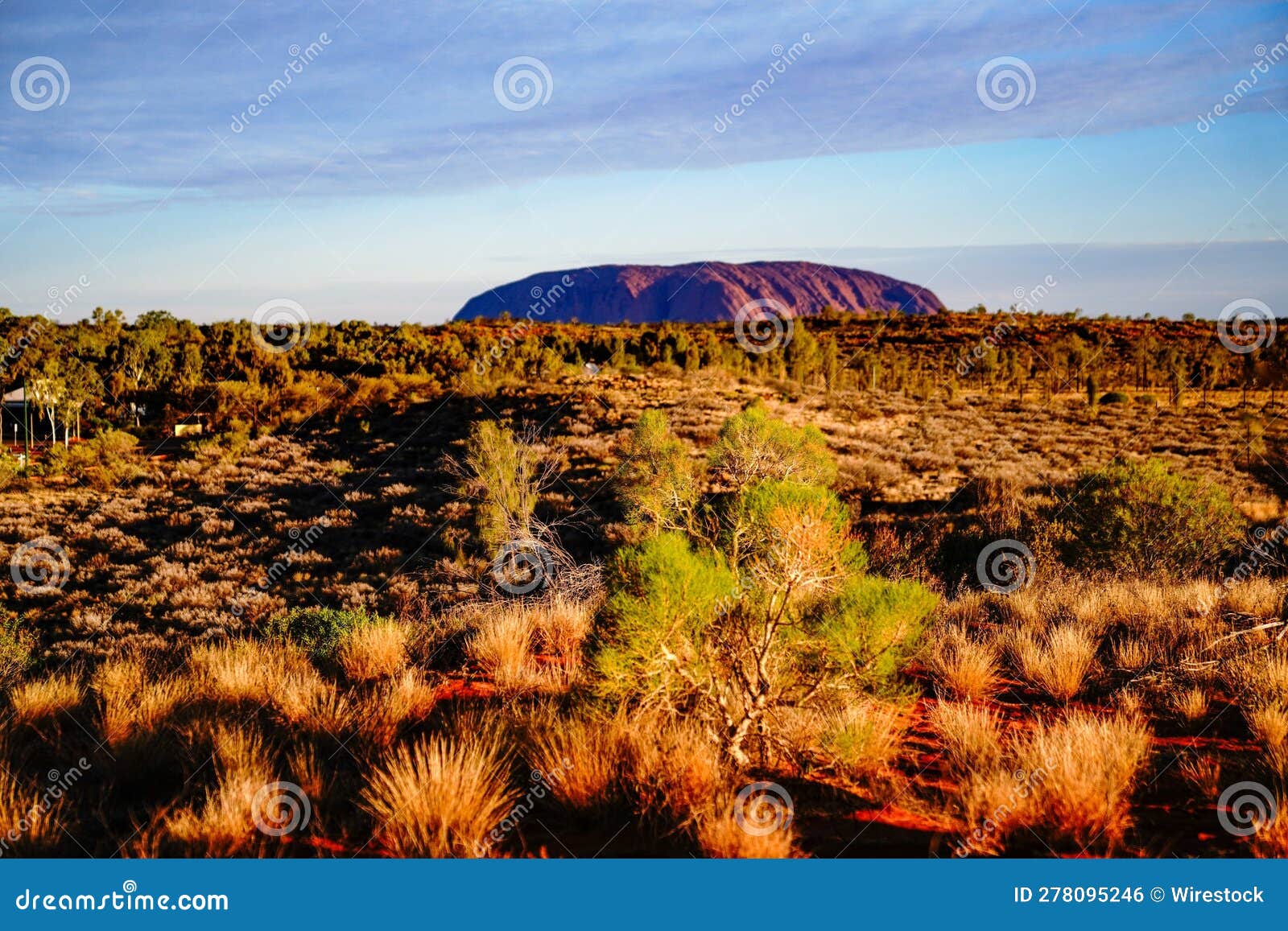 Aerial View of Uluru Field with Growing Grass Stock Photo - Image of ...