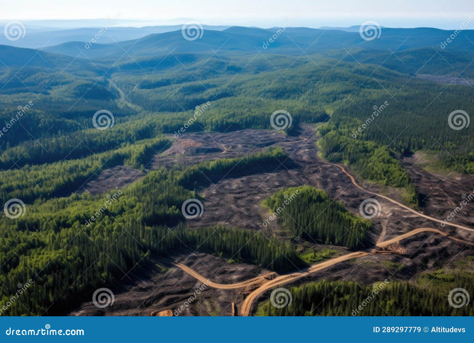 Aerial View of Vast Clear-cut Logging Area in Dense Forest Stock Image ...