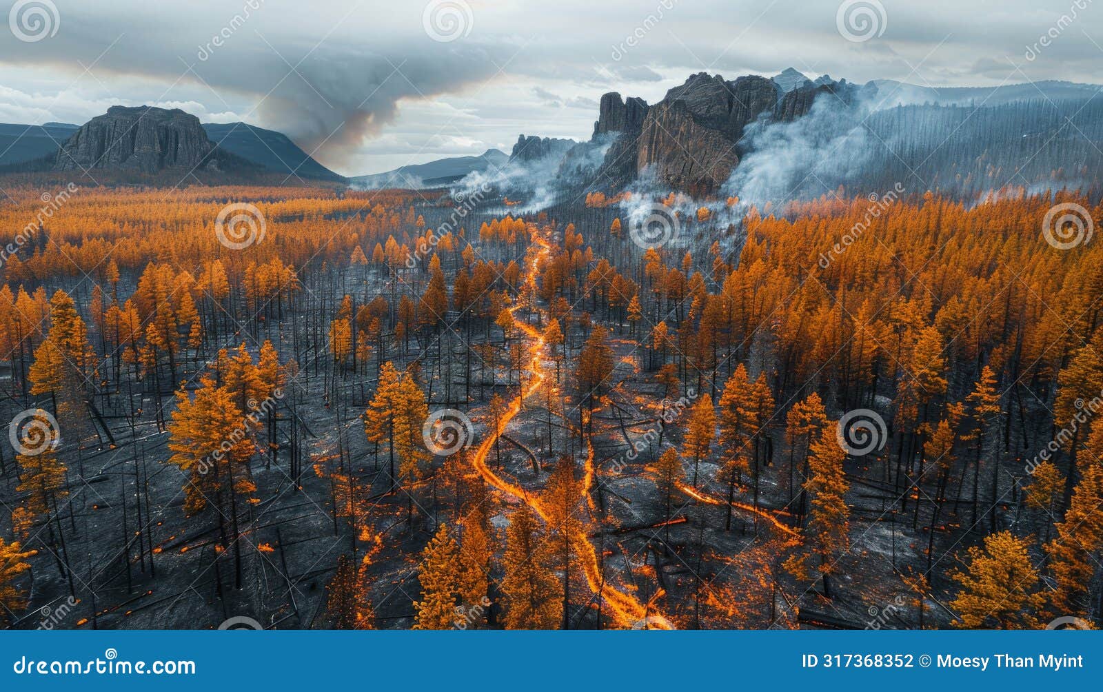 An Aerial View of a Vast Forest Landscape Marked by a Patchwork of Burn ...