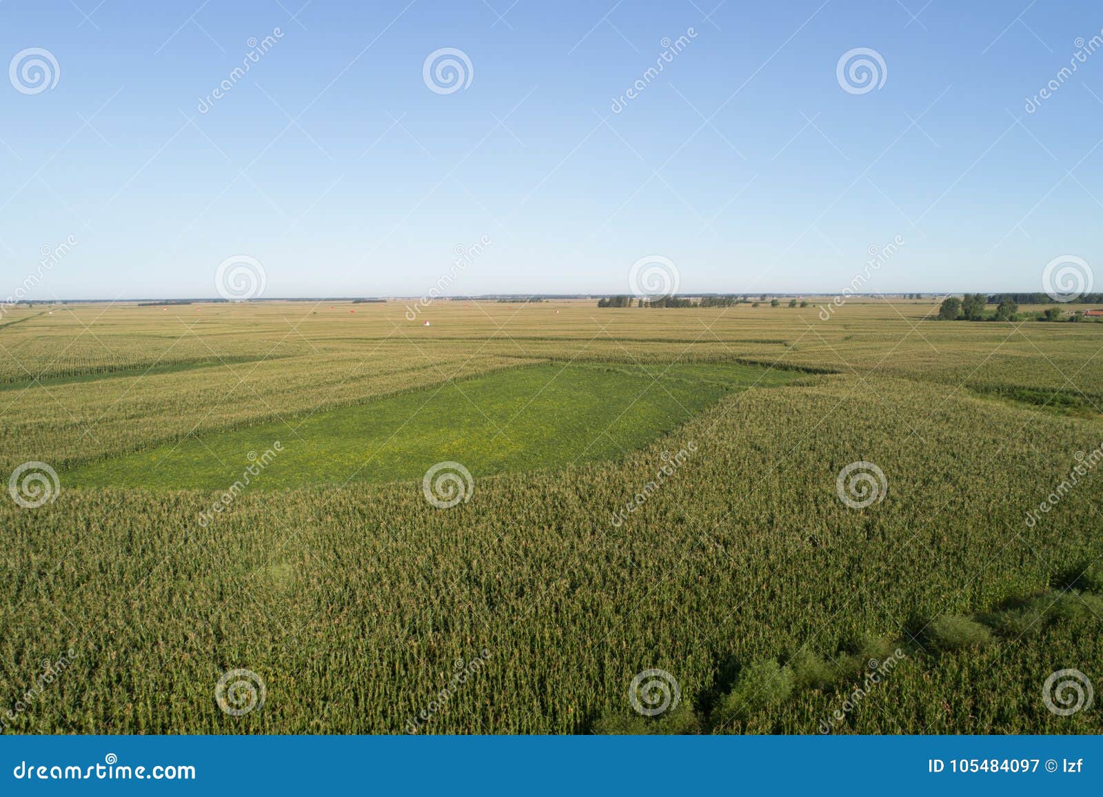 Aerial View of the Vegetable Field Stock Image - Image of discovering ...