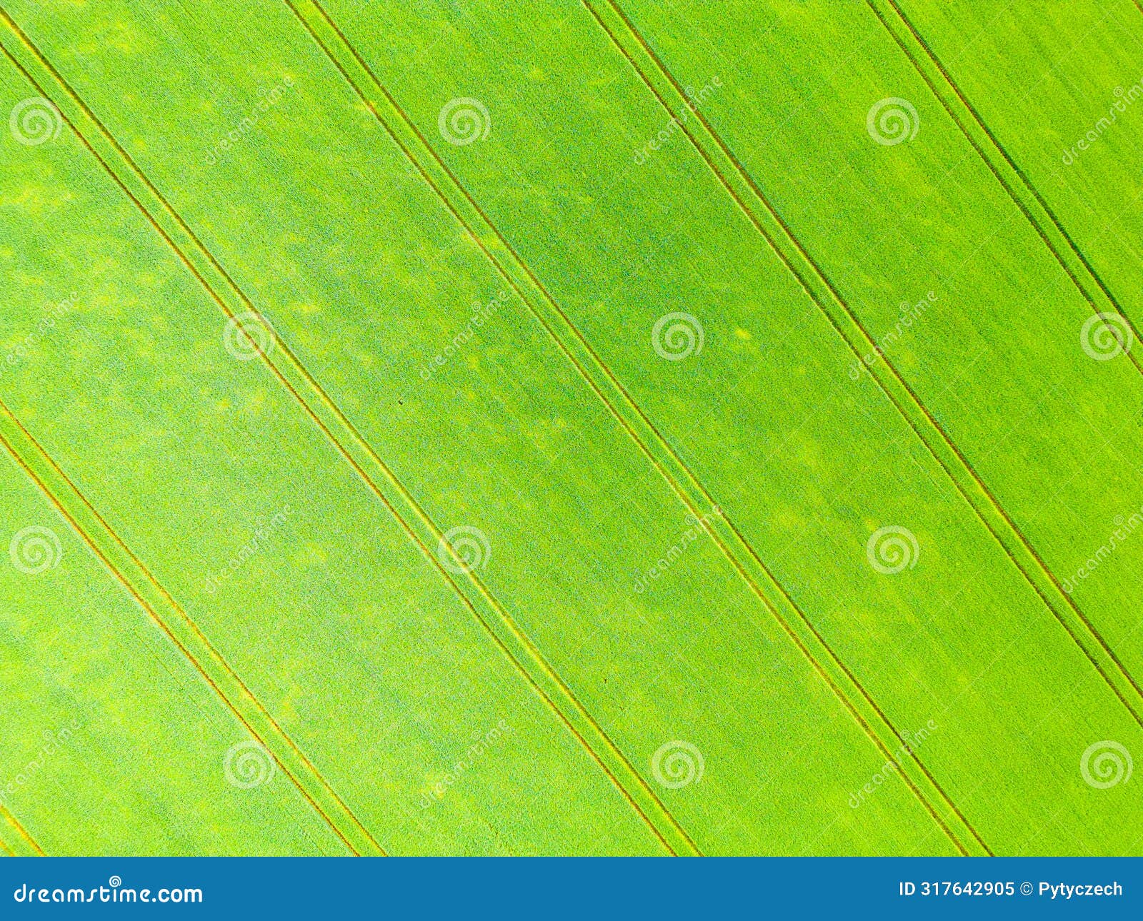 Vibrant Green Aerial Fields Stock Image - Image of scenic, vehicles ...