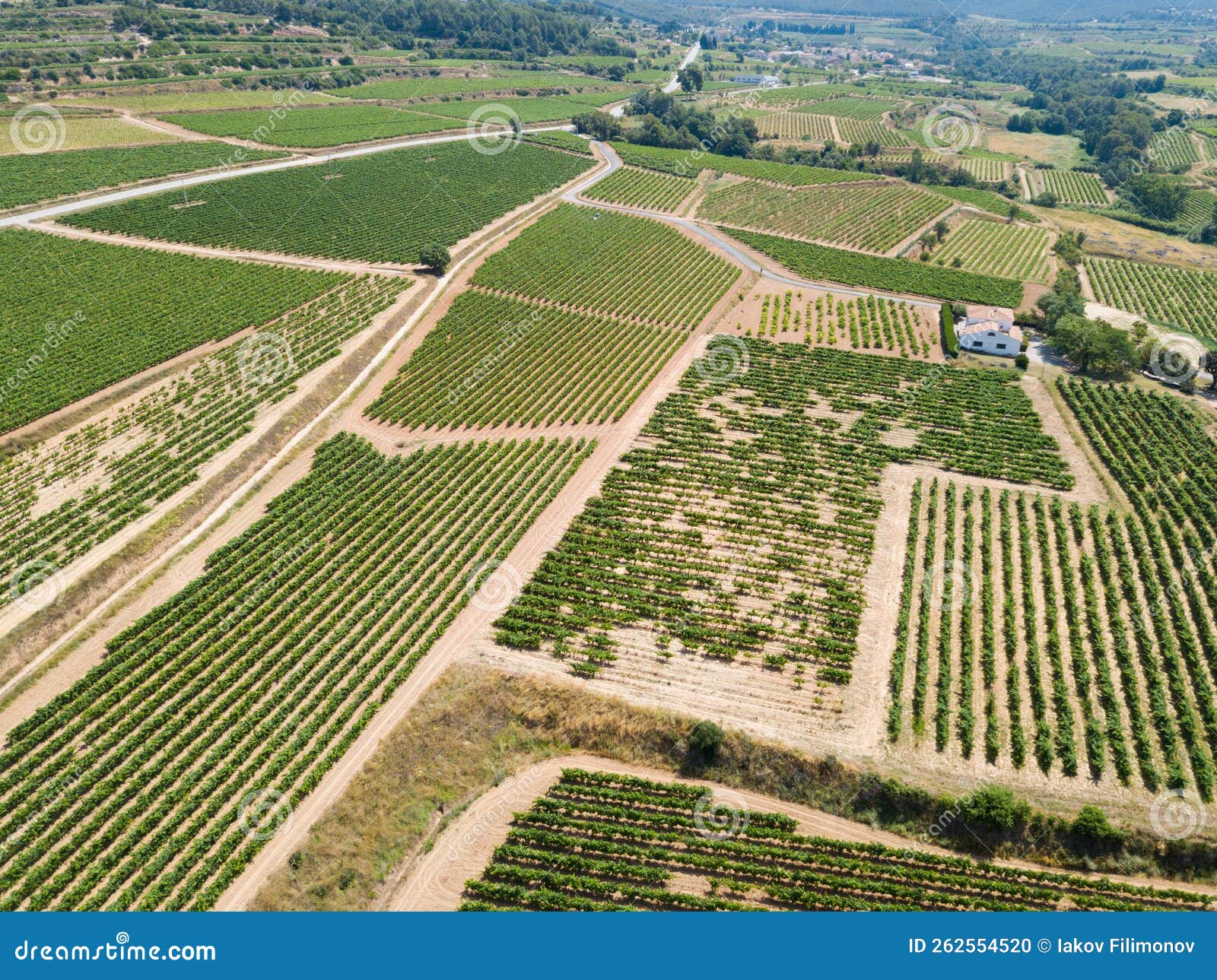 Aerial View of Vineyard Plantations Stock Photo - Image of tourism ...