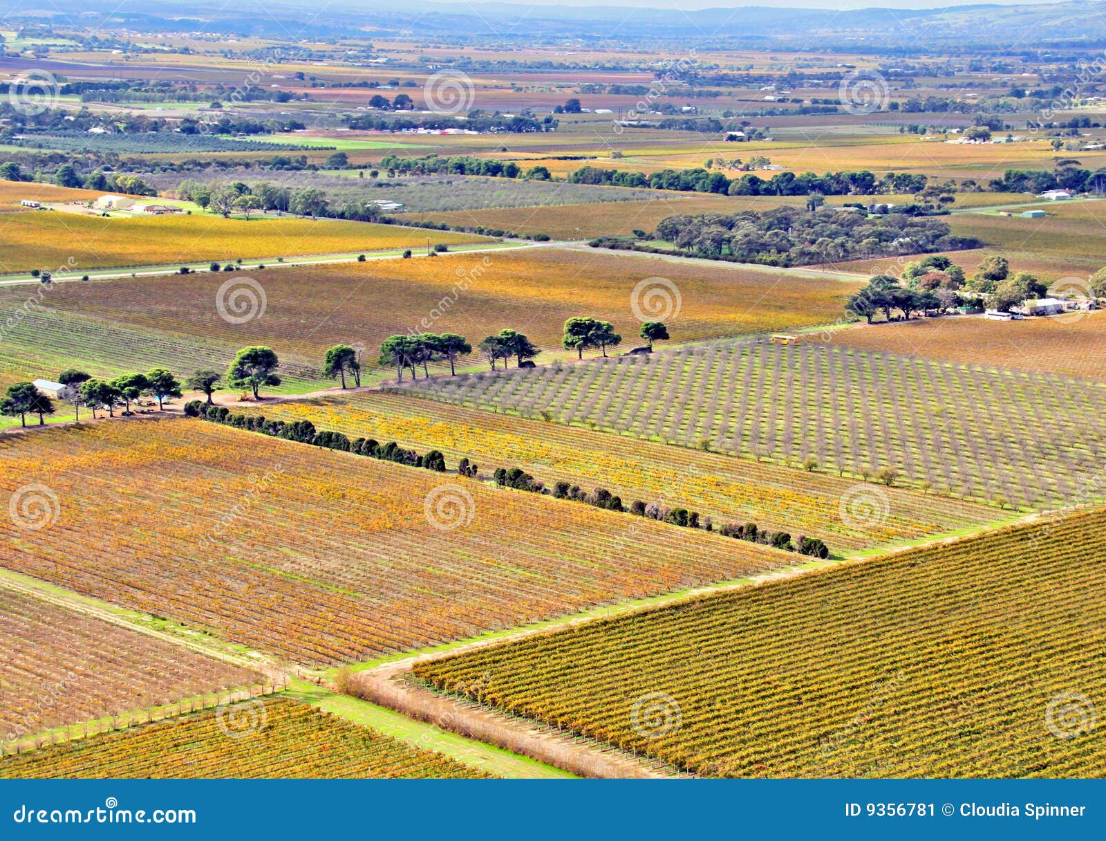 Aerial View of Vineyards and Orchards Stock Image - Image of winery ...