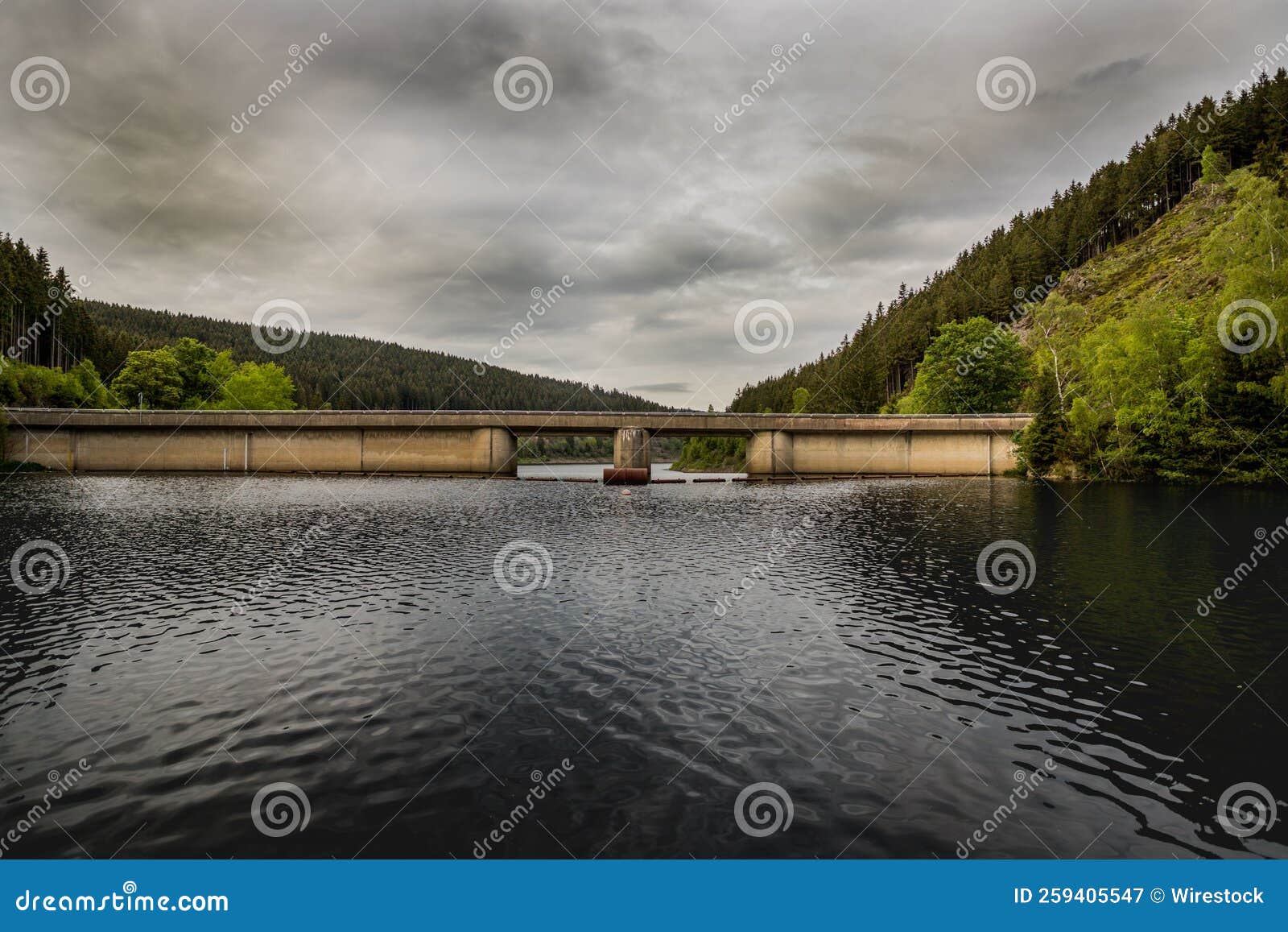 Aerial View of Water Storage Surrounded by Dense Trees Stock Image ...