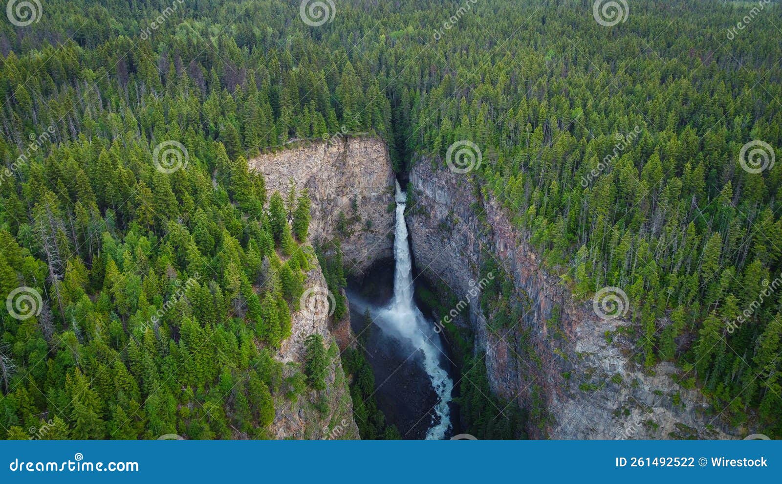 Aerial View of a Waterfalls Surrounded by Trees Stock Photo - Image of ...