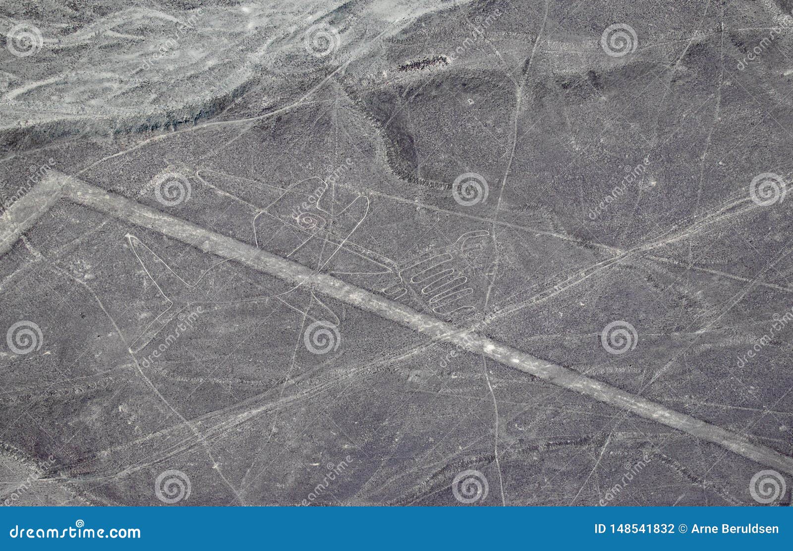 Aerial View of the Whale Nazca Lines Stock Photo - Image of unexplained ...