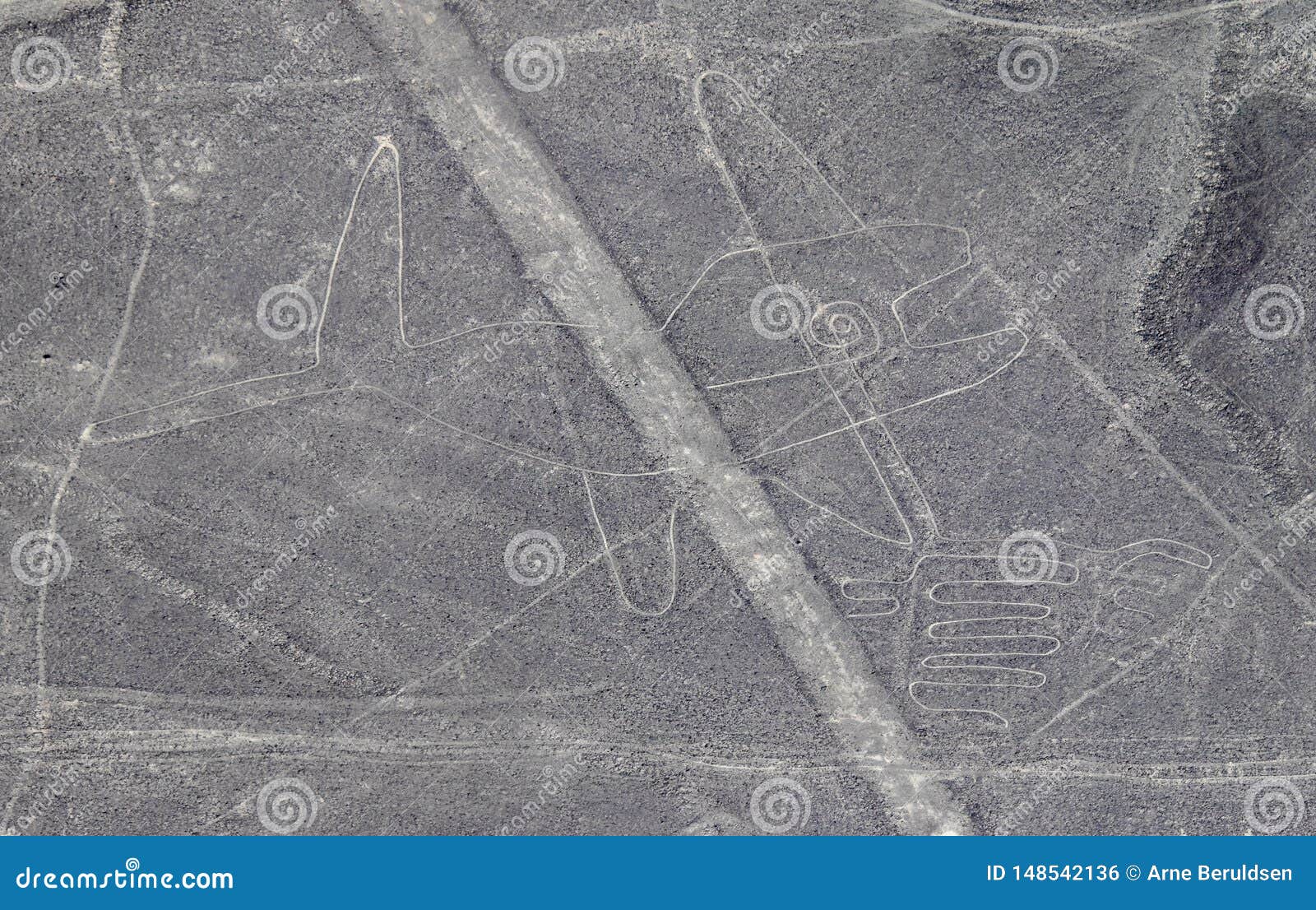 Aerial View of the Whale Nazca Lines Stock Photo - Image of mystery ...