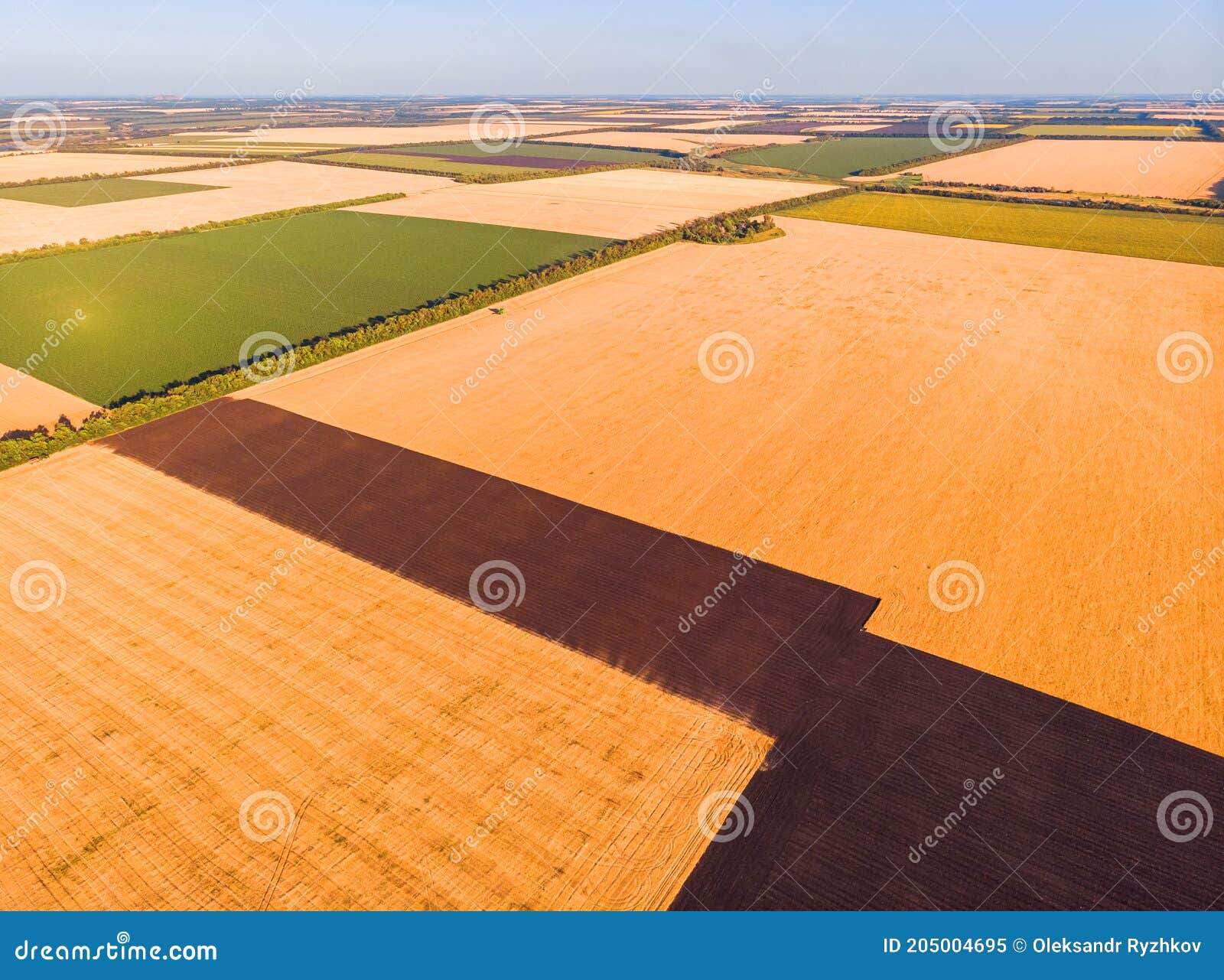 Aerial View of the Wheat Fields Stock Image - Image of yellow, field ...