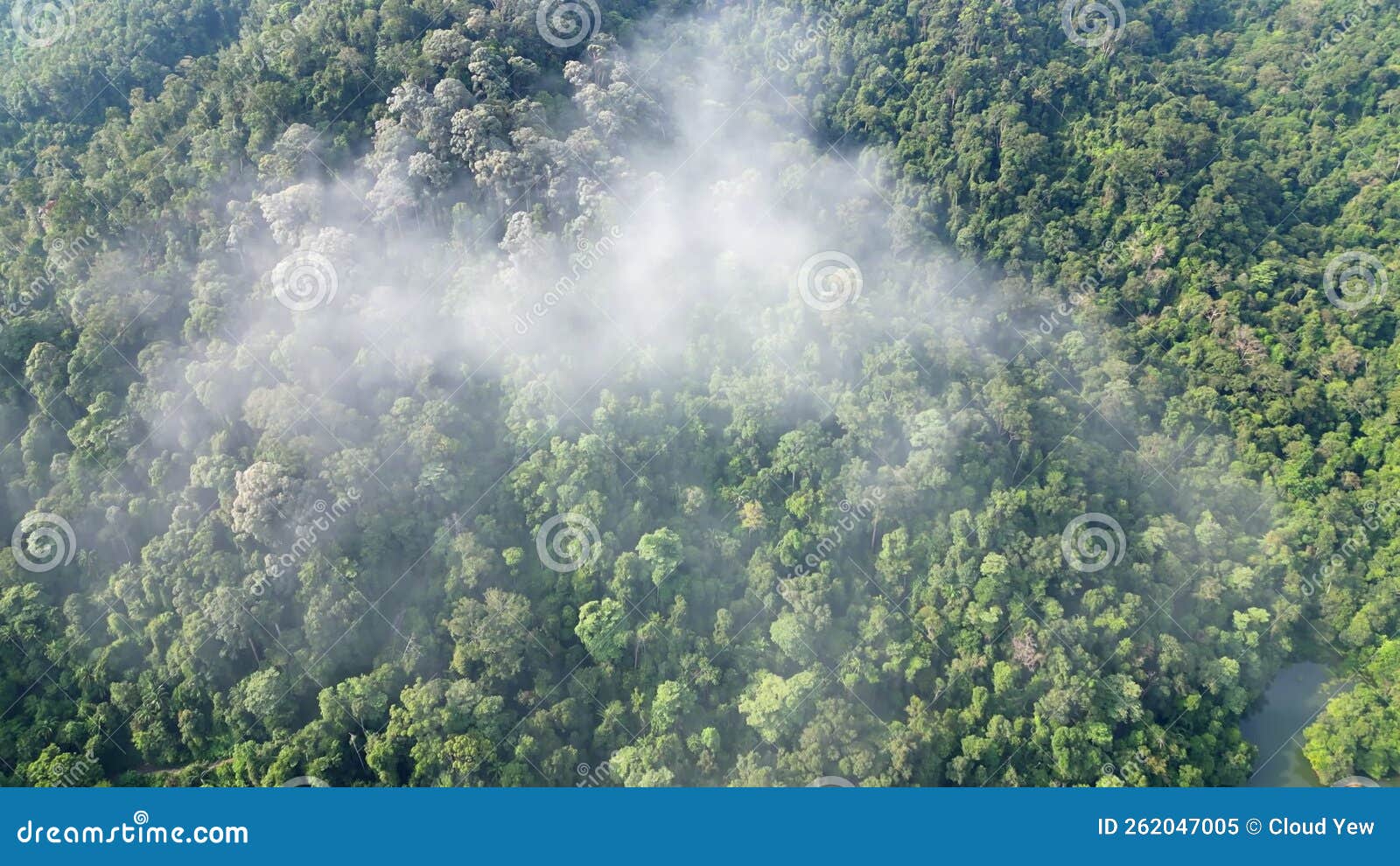 Aerial View the White Cloud Move Over Jungle Stock Video - Video of ...