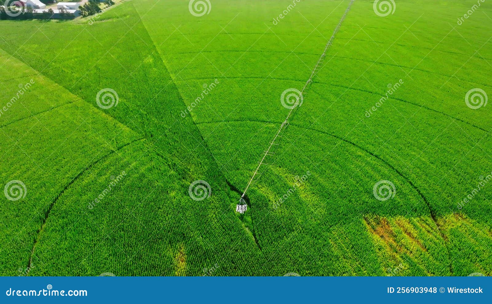 Aerial View of the Wide Farm Trees and Corn Field Stock Footage - Video ...