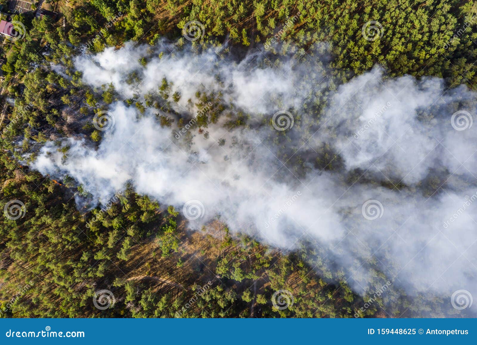 Aerial View of Wildfire in Forest. Burning Forest and Huge Clouds of ...