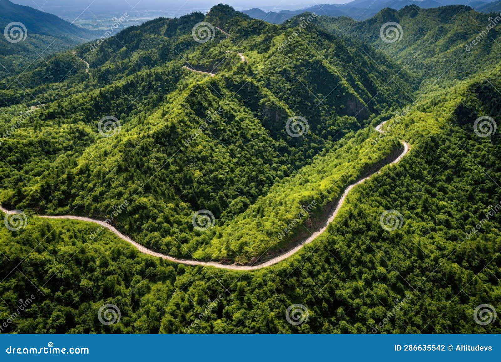 Aerial View of a Winding Mountain Trail through Lush Forest Stock Photo ...