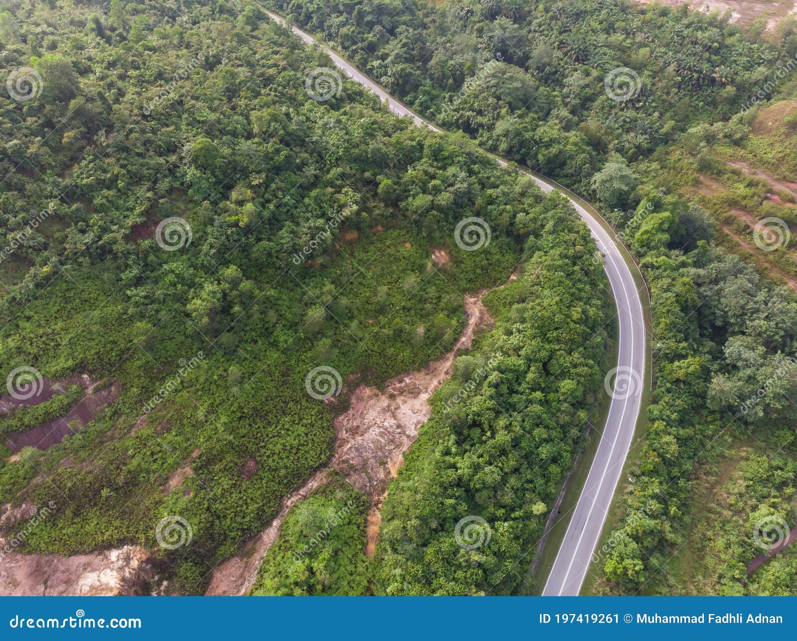 Aerial View of Winding Road in a Forest Stock Image - Image of romania ...