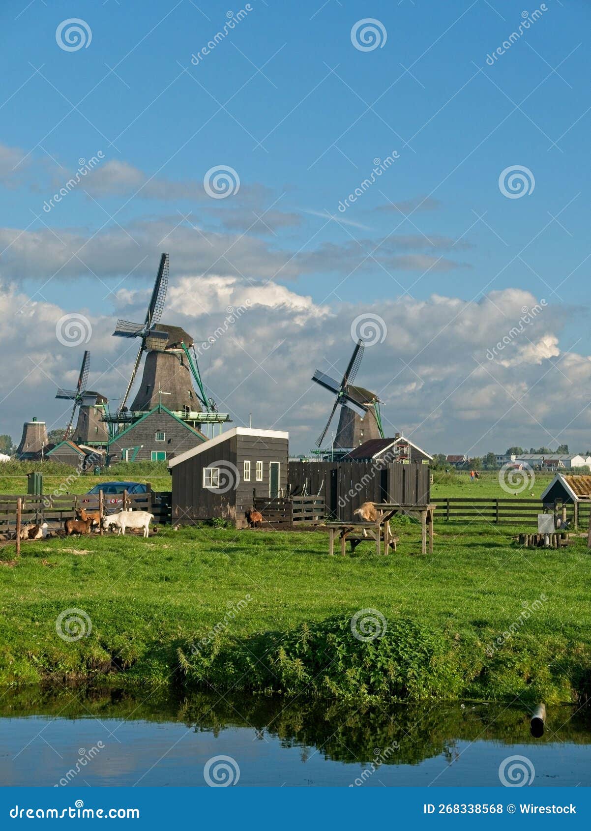 Aerial View of Windmills in Field Stock Photo - Image of rural, dutch ...