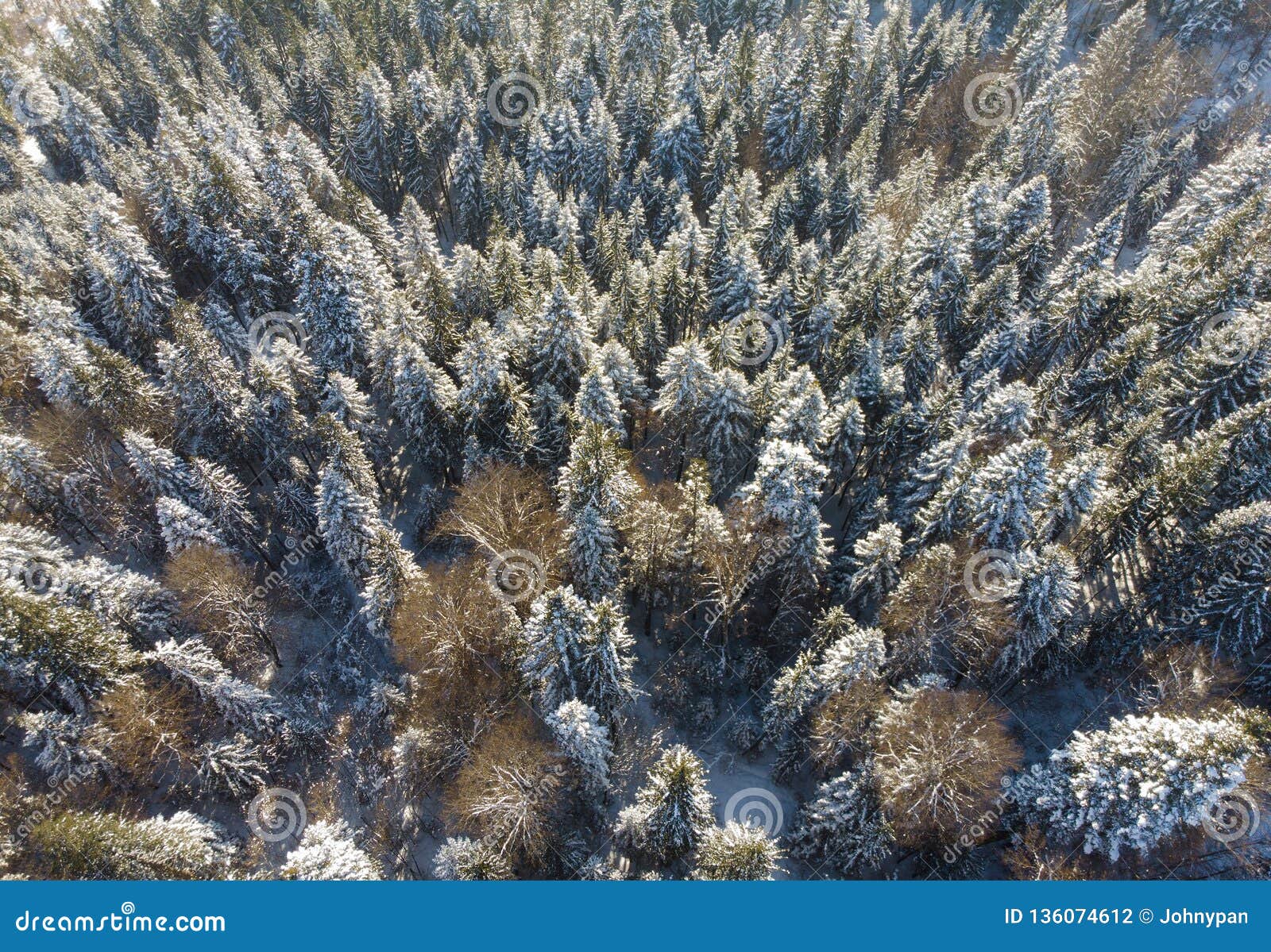 Aerial View of Winter Forest Stock Photo - Image of drone, snow: 136074612